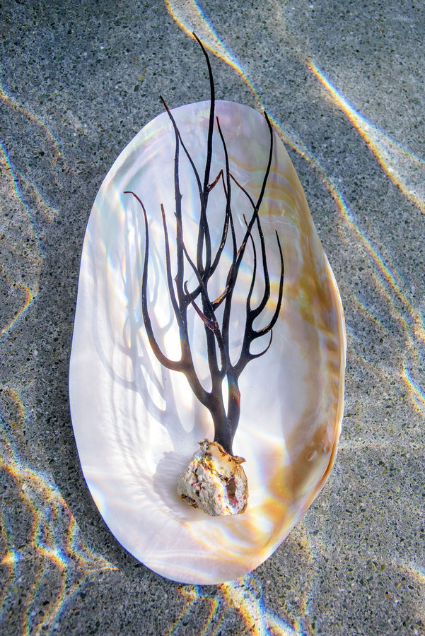 Underwater Altars : Find Treasure — Leigh Webber